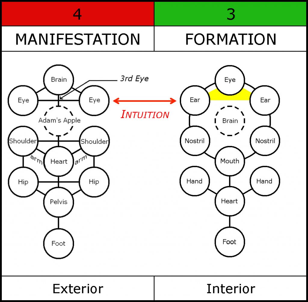 7. Duality | The 4 Symbols